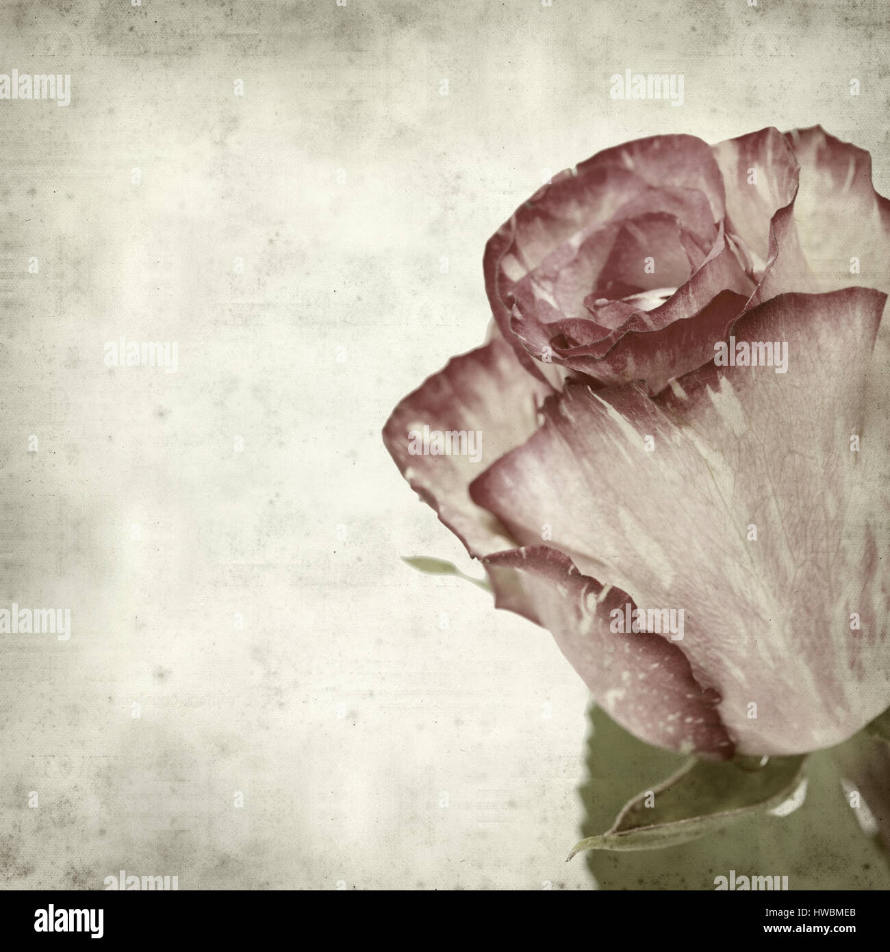 textured old paper background with unusual mottled rose Stock Photo - Alamy