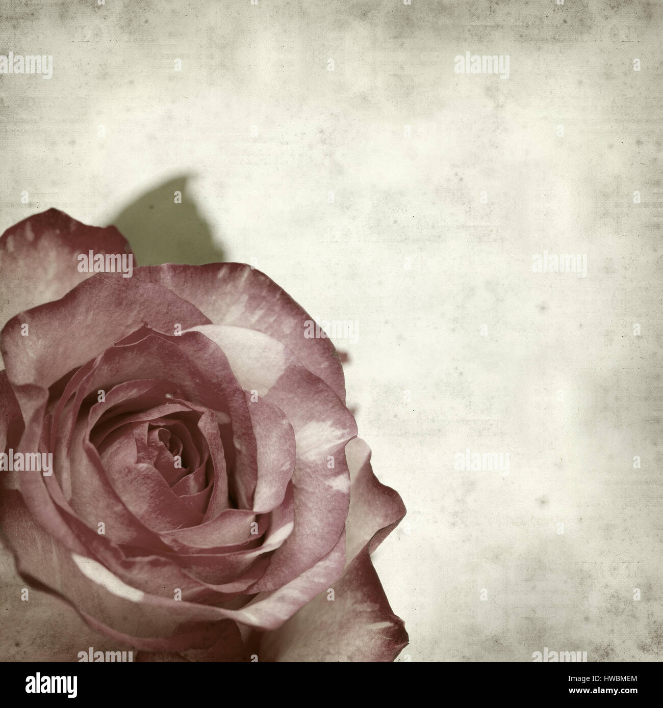 textured old paper background with unusual mottled rose Stock Photo - Alamy