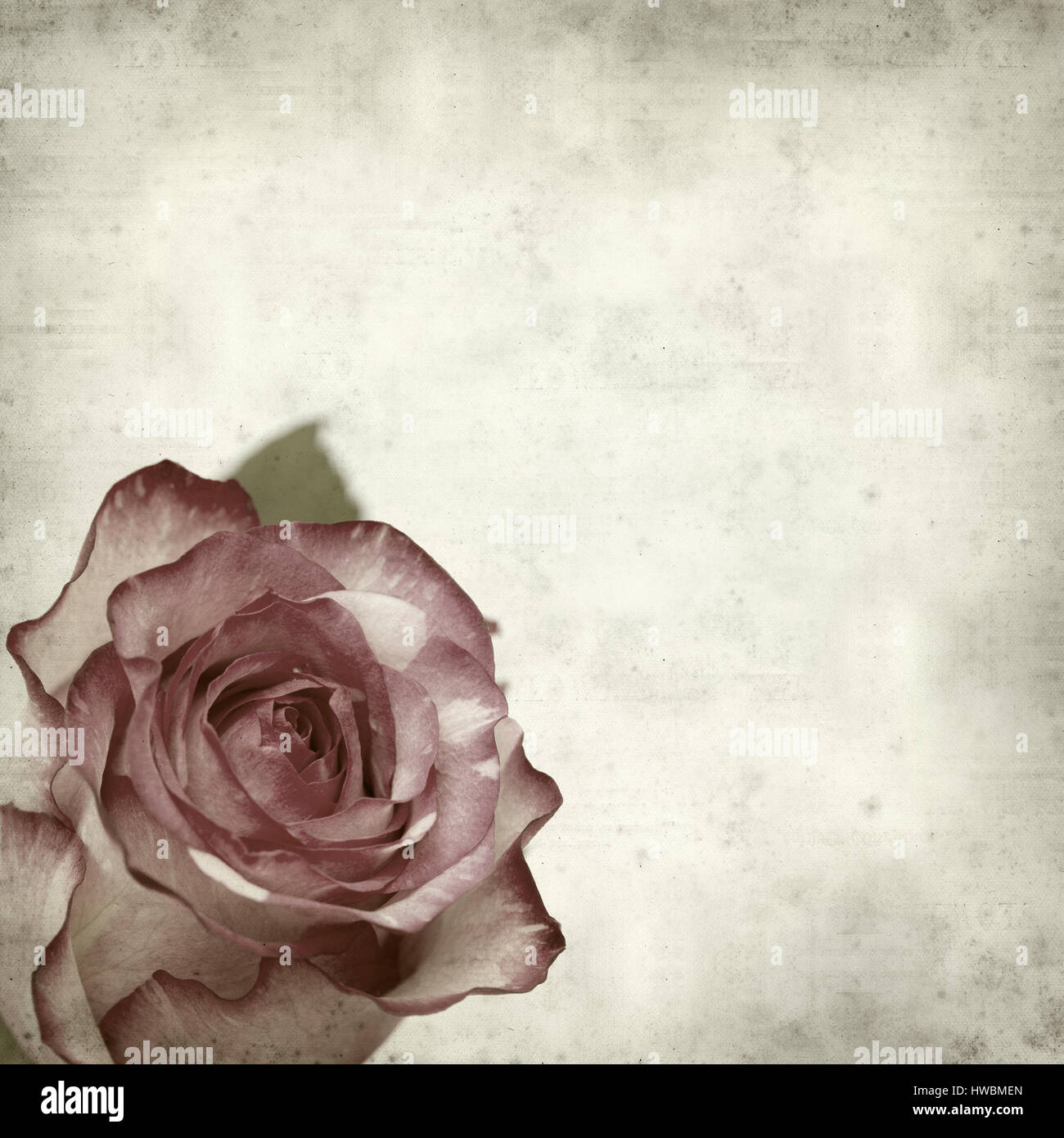 textured old paper background with unusual mottled rose Stock Photo - Alamy