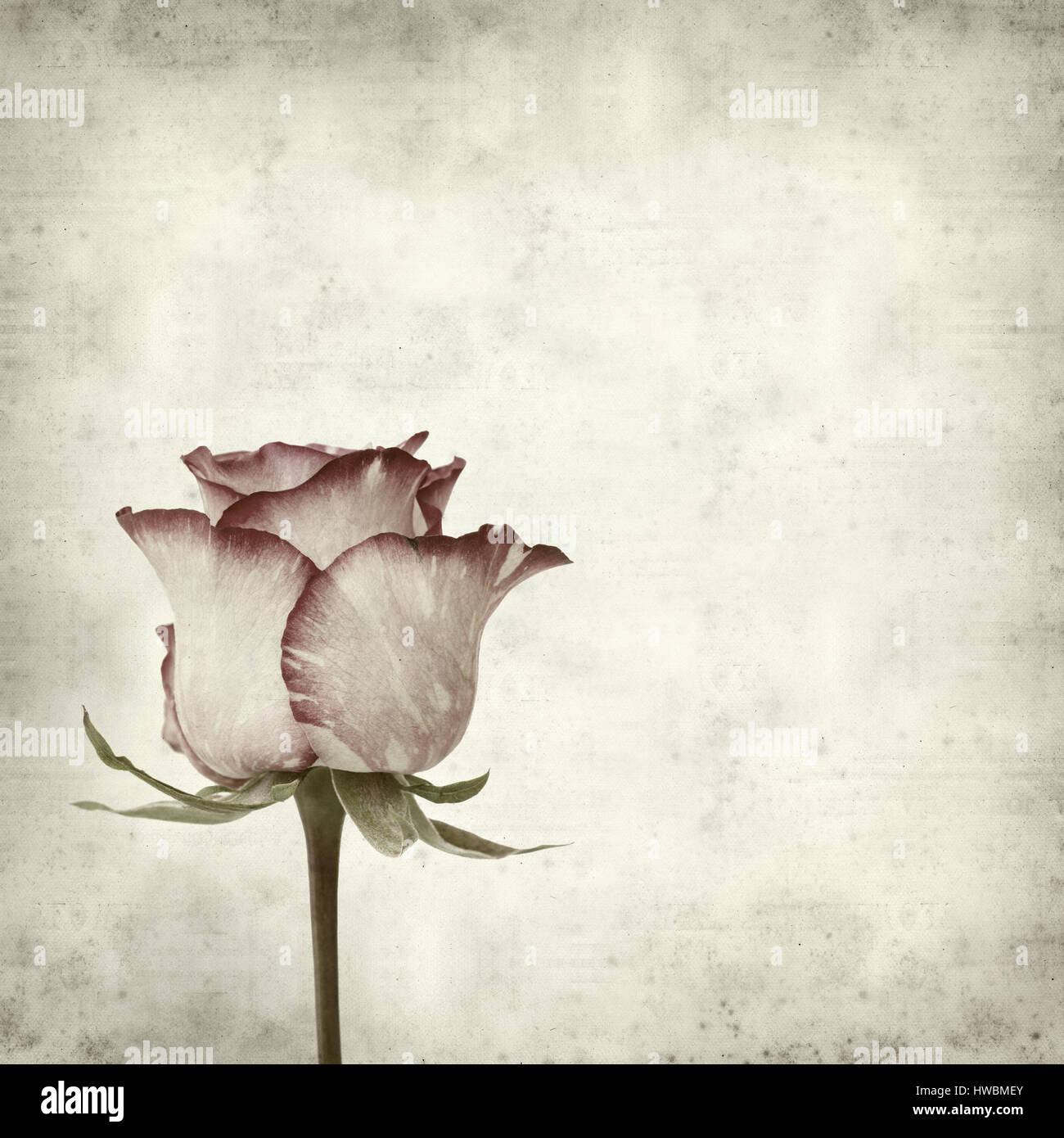 textured old paper background with unusual mottled rose Stock Photo - Alamy