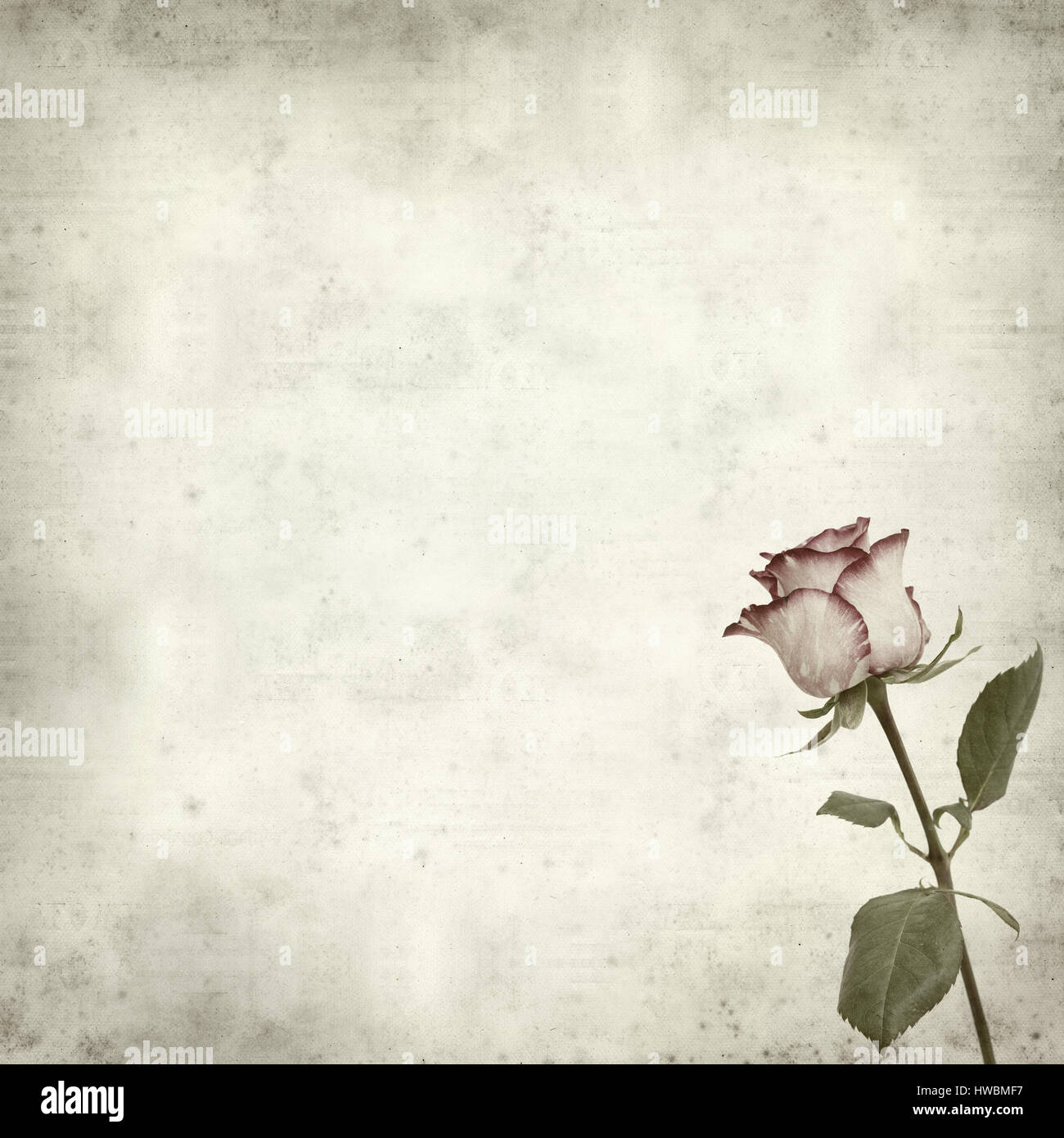 textured old paper background with unusual mottled rose Stock Photo - Alamy