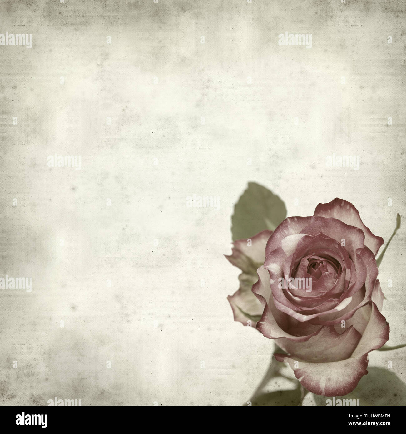 textured old paper background with unusual mottled rose Stock Photo - Alamy