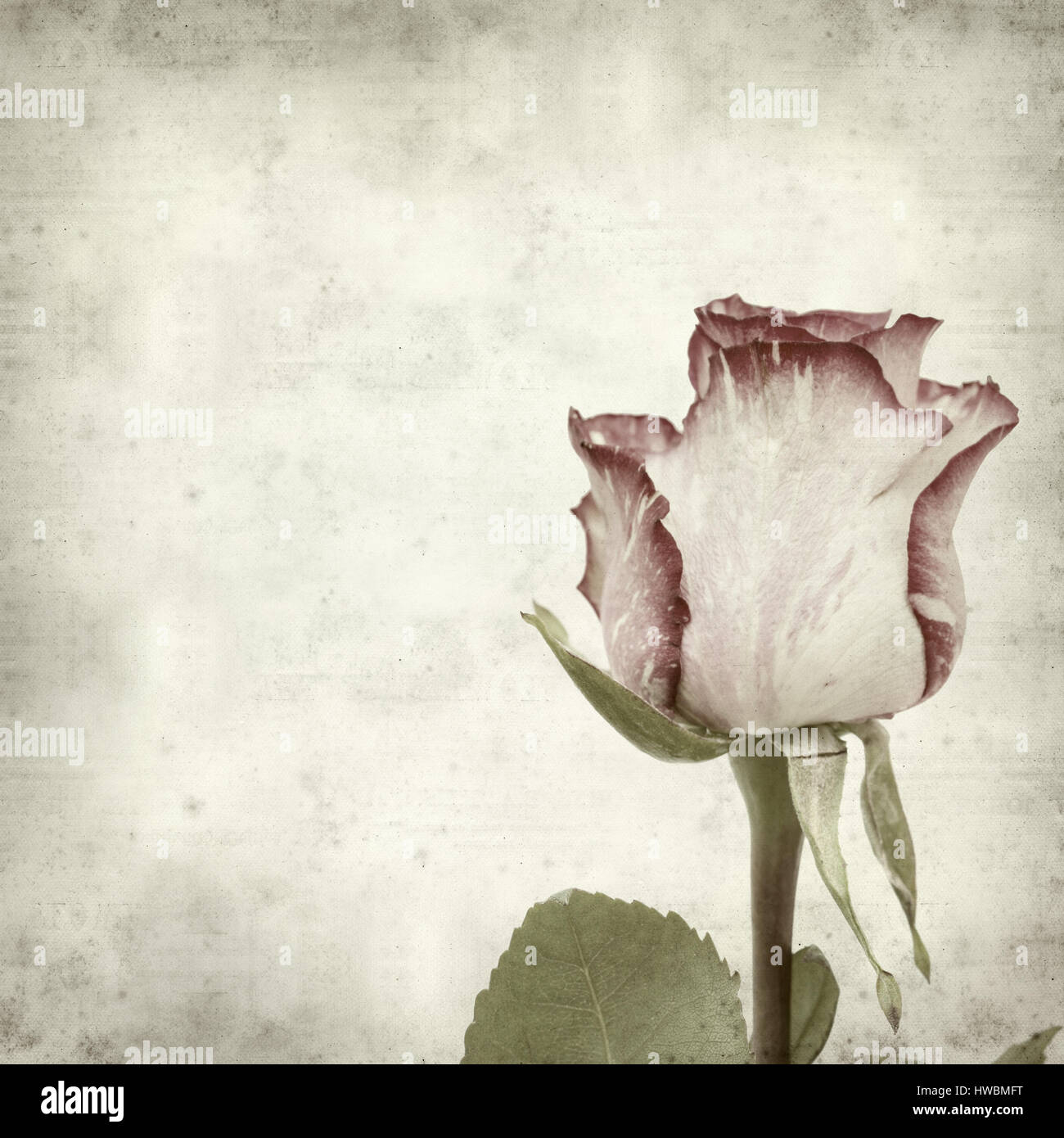 textured old paper background with unusual mottled rose Stock Photo - Alamy