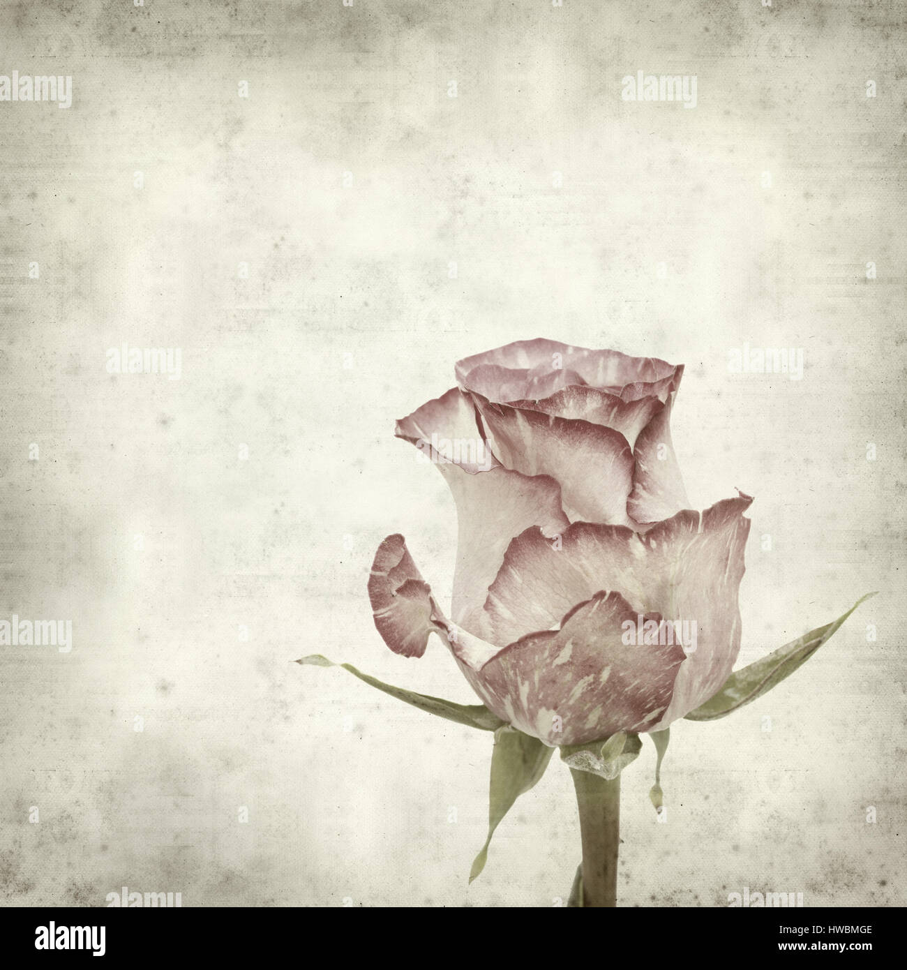 textured old paper background with unusual mottled rose Stock Photo - Alamy