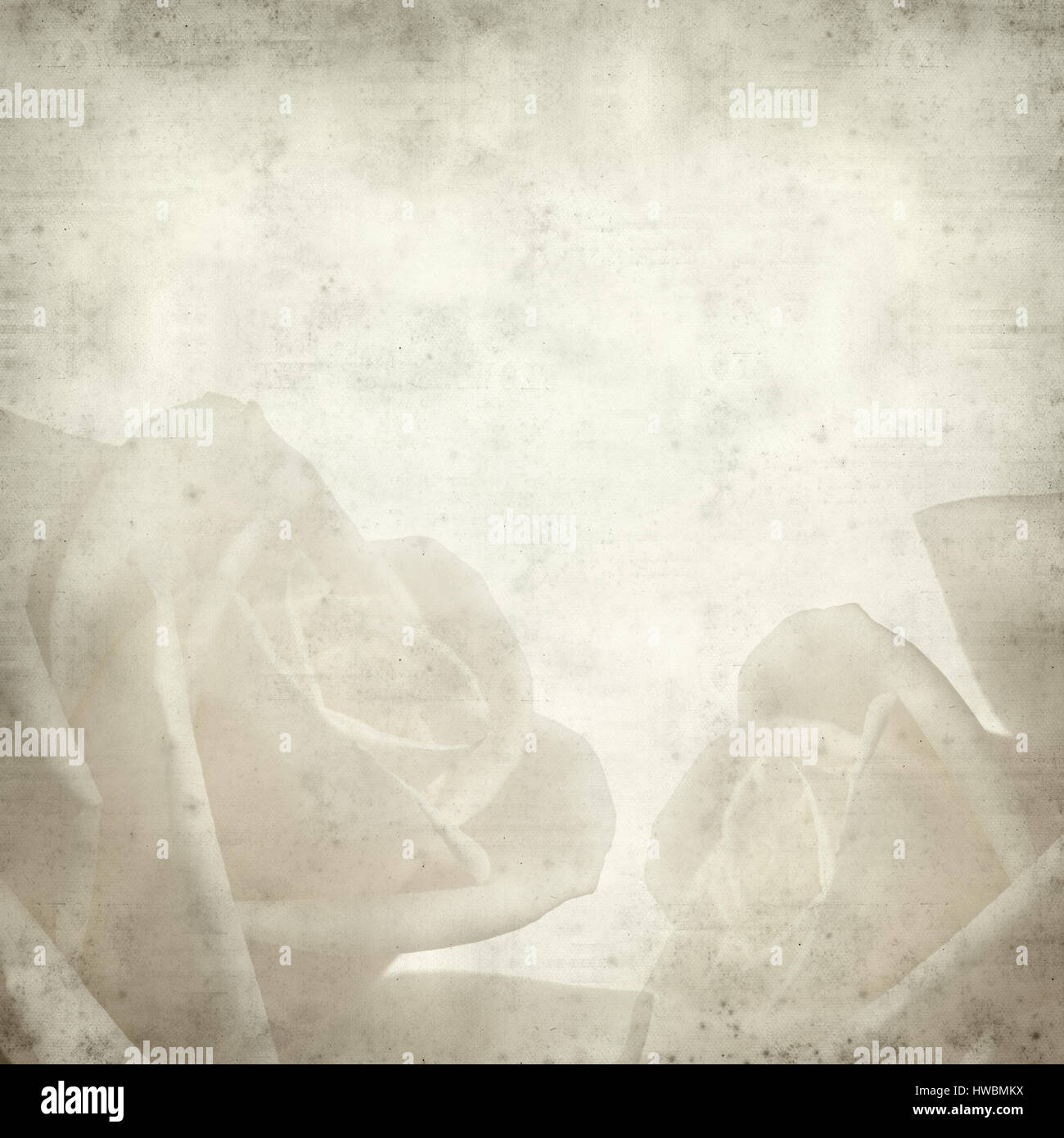 textured old paper background with gentle, light pink rose flower Stock ...