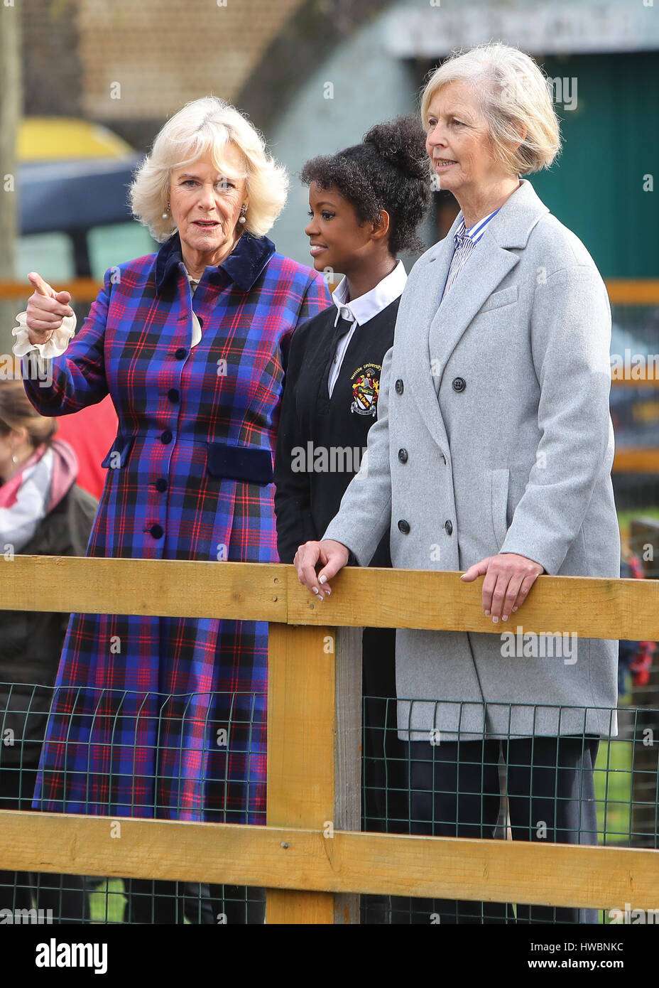 The Duchess of Cornwall, President, Ebony Horse Club, visits the ...