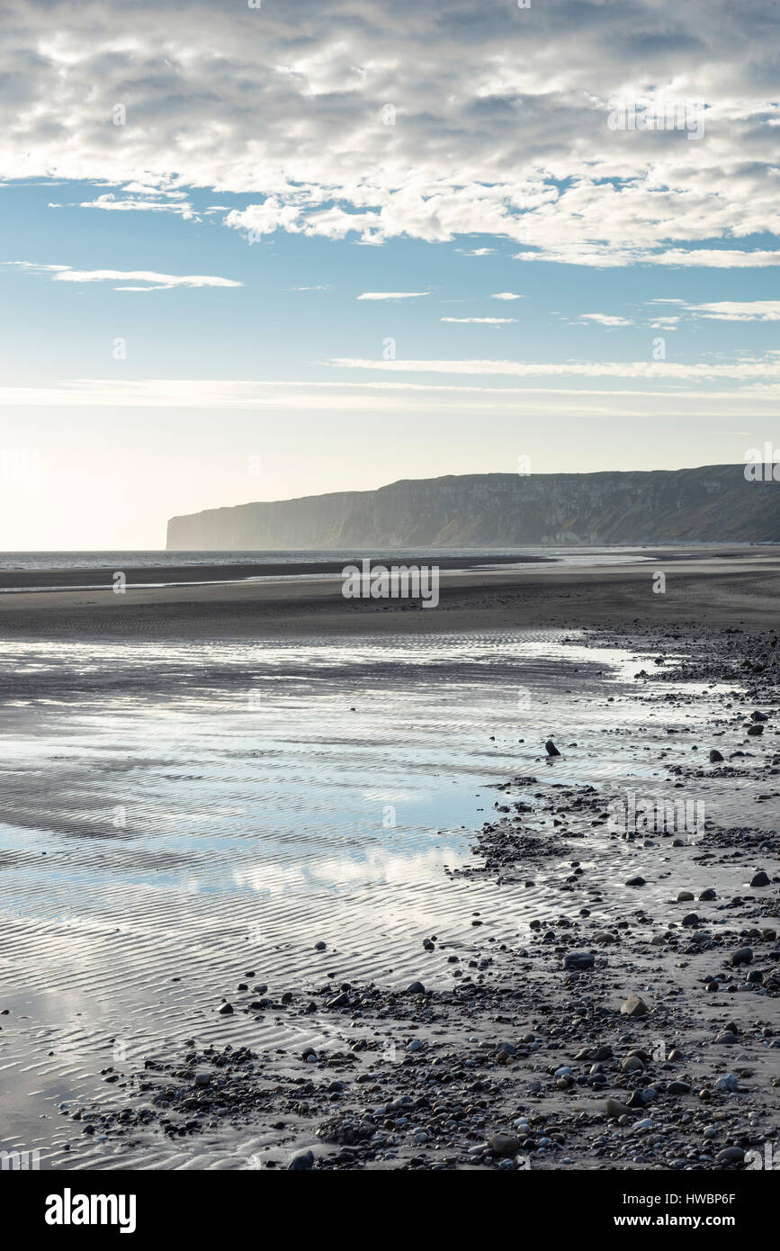 Speeton sands and Bempton cliffs at the southern end of Filey Bay ...
