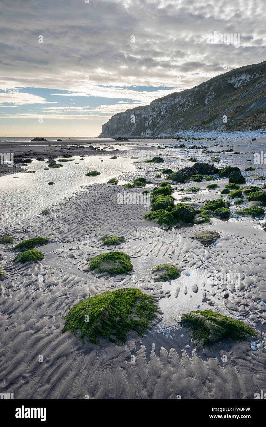 Speeton cliffs hi-res stock photography and images - Alamy