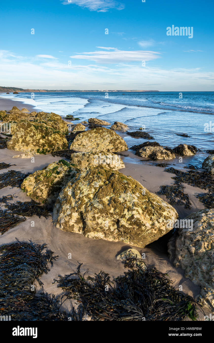 Rocks on the beach at Speeton sands, Filey Bay, North Yorkshire ...