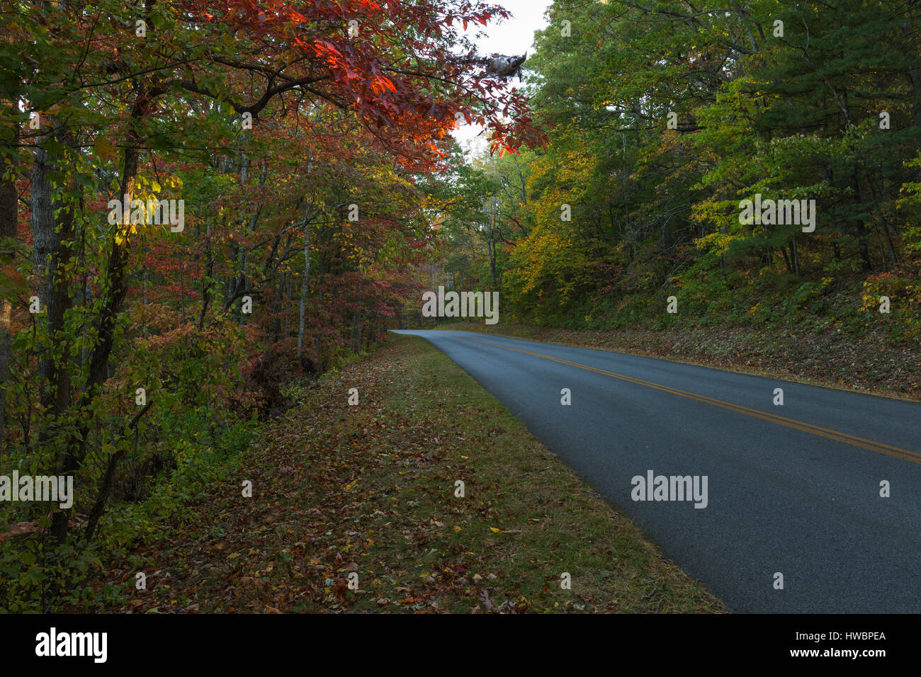 Fall colors along the Blue Ridge Parkway, Blue Ridge Parkway, NC, USA ...