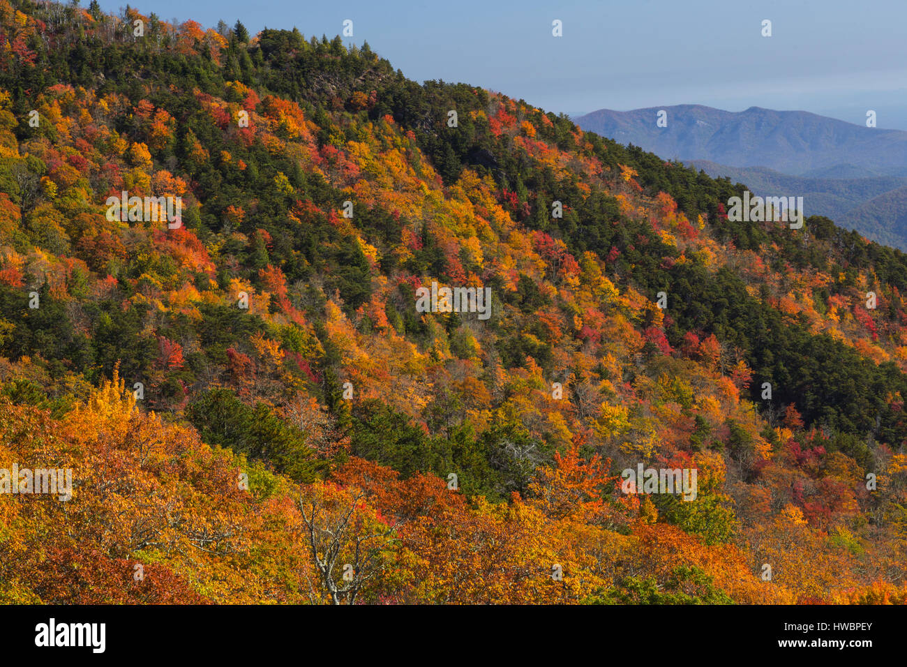 Fall colors along the Blue Ridge Parkway, NC, USA Stock Photo - Alamy