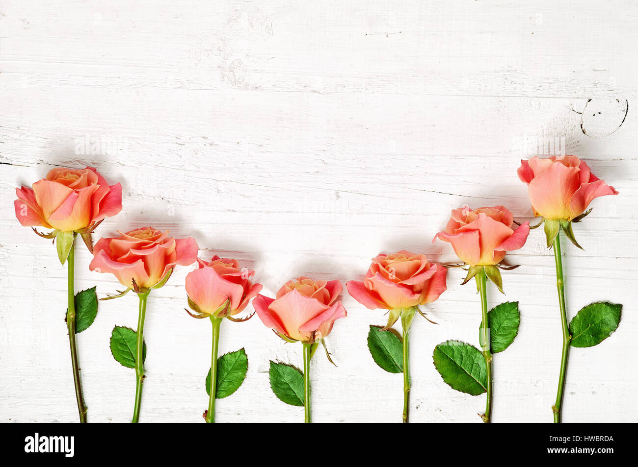 pink roses on white wooden table, top view Stock Photo - Alamy