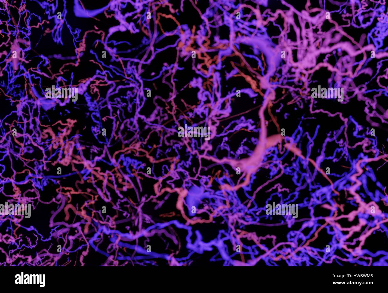 blood or neuron links system red and blue 3d illustration Stock Photo ...