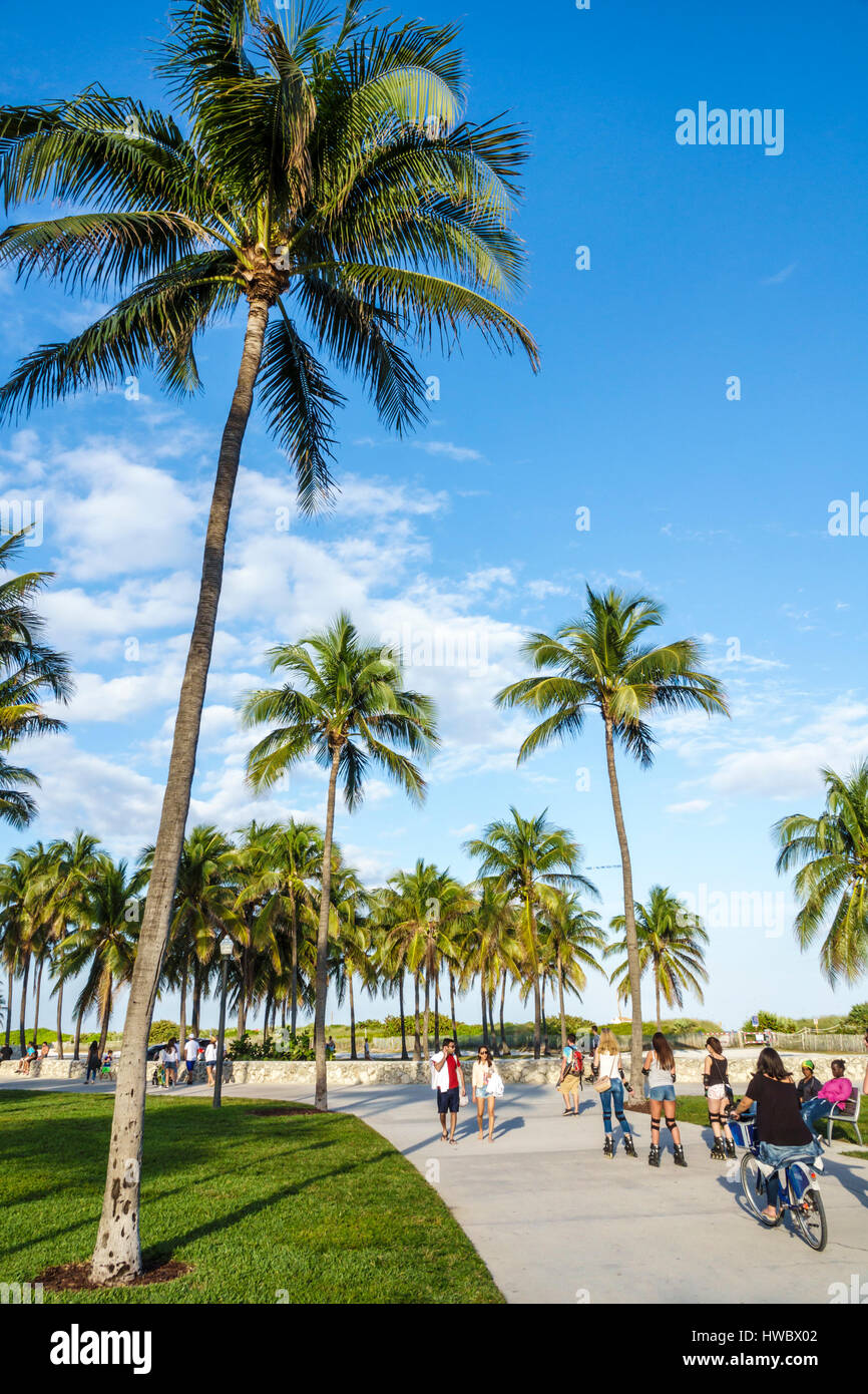 Miami Beach Florida,Ocean Drive,Lummus Park,Serpentine Trail,walkway ...
