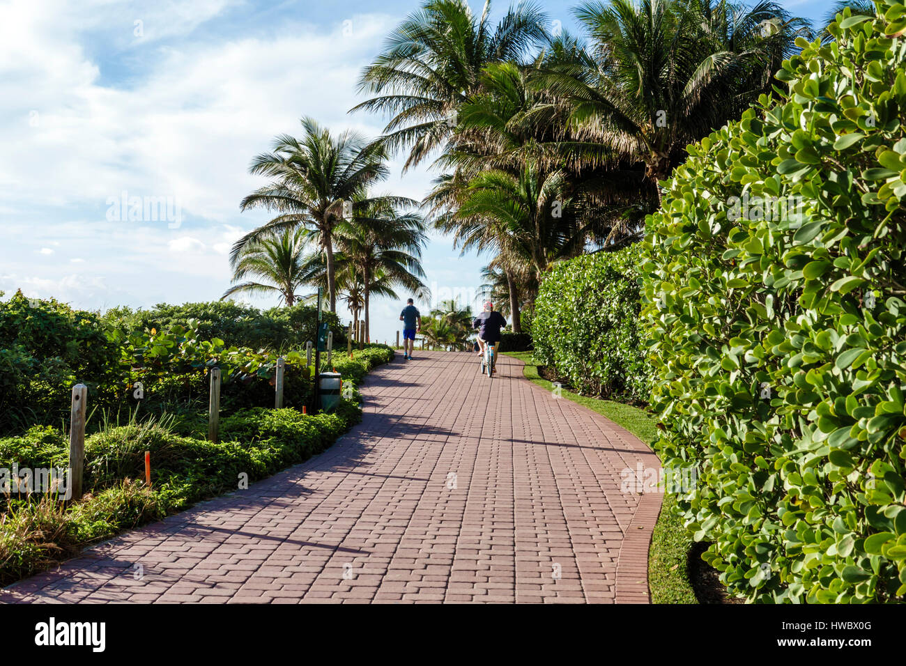 Miami Beach Florida,South Beach Boardwalk,pathway,BeachWalk,vegetation ...