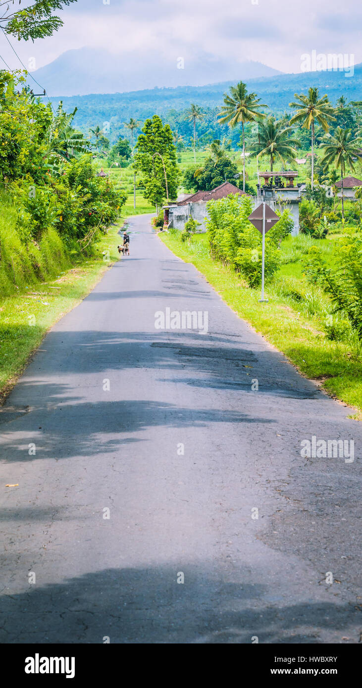 Indonesia bali mountain road hi-res stock photography and images - Alamy