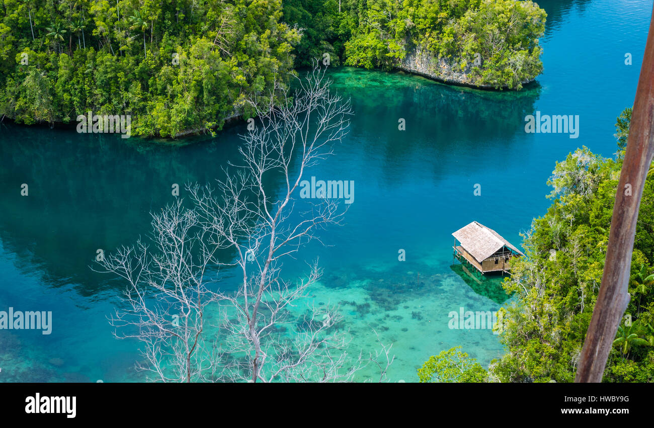 Bamboo Hut in Mangrove near Warikaf Homestay, Kabui Bay and Passage ...