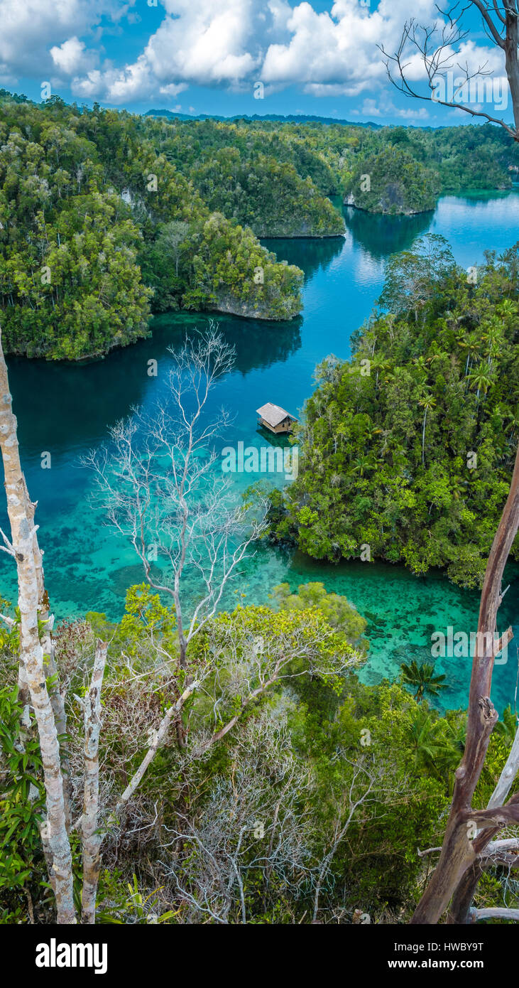 Kabui bay and passage gam island hi-res stock photography and images ...