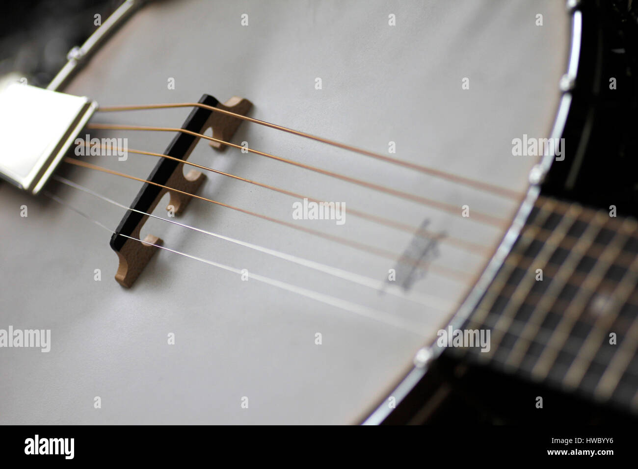 Macro of Banjo with six strings Stock Photo - Alamy