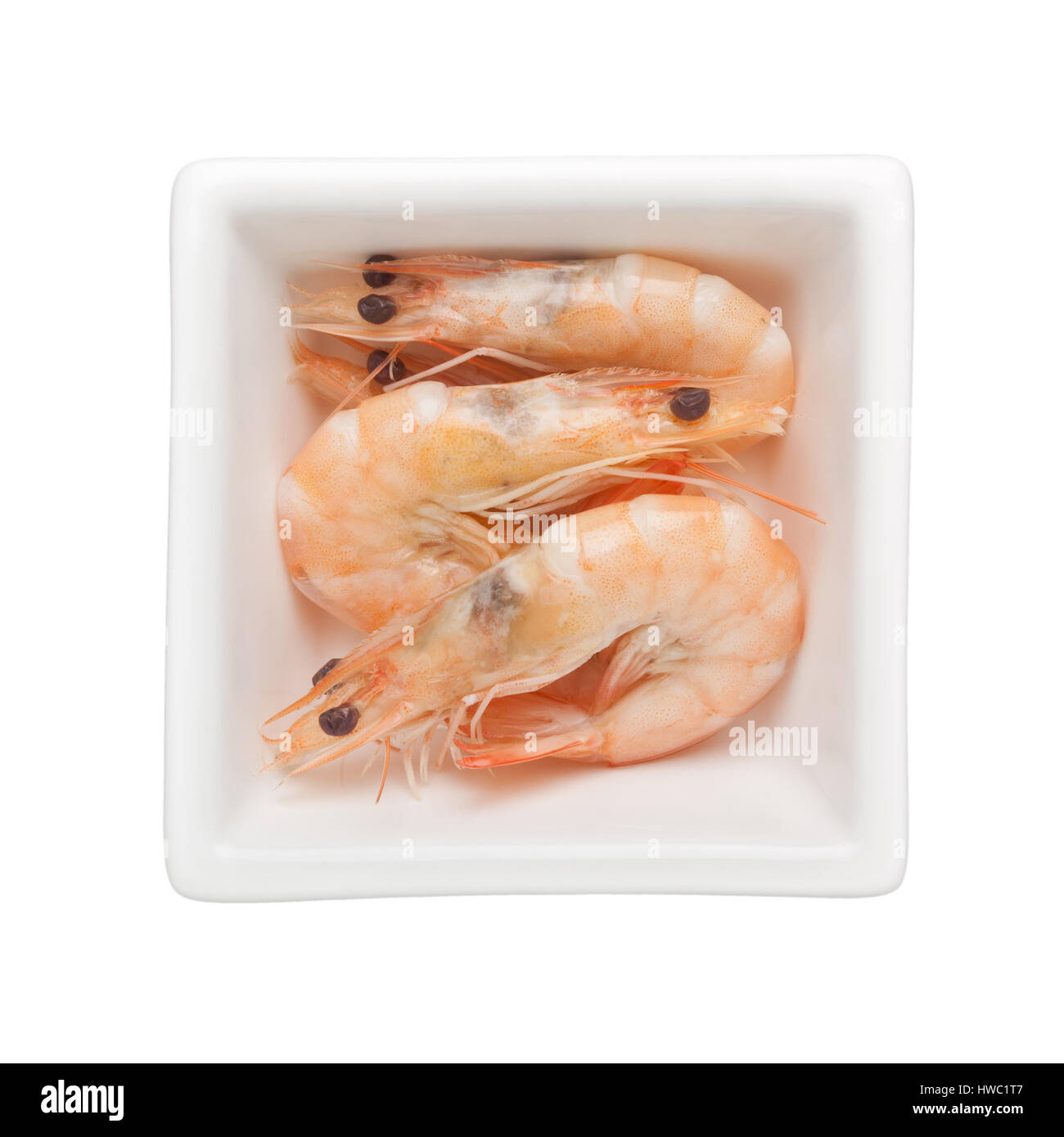 Cooked grey prawns in a square bowl isolated on white background Stock ...