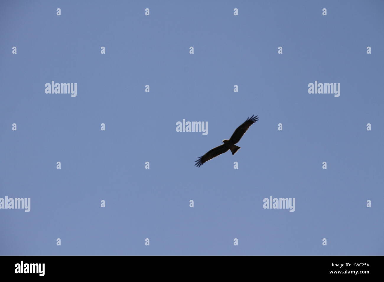 Nomadic look hi-res stock photography and images - Alamy