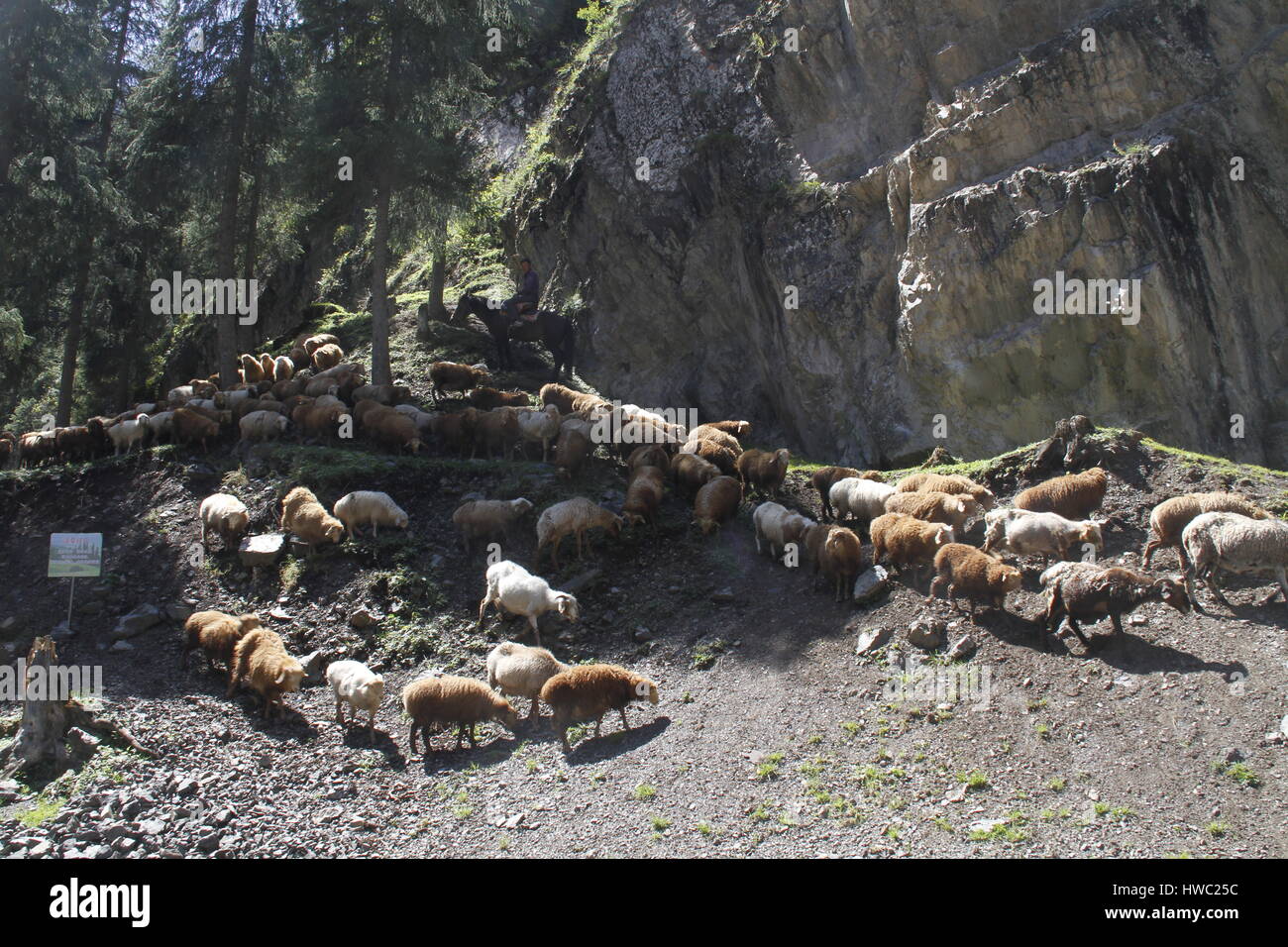 On the way to Koktokay Xinjiang Province China Stock Photo - Alamy