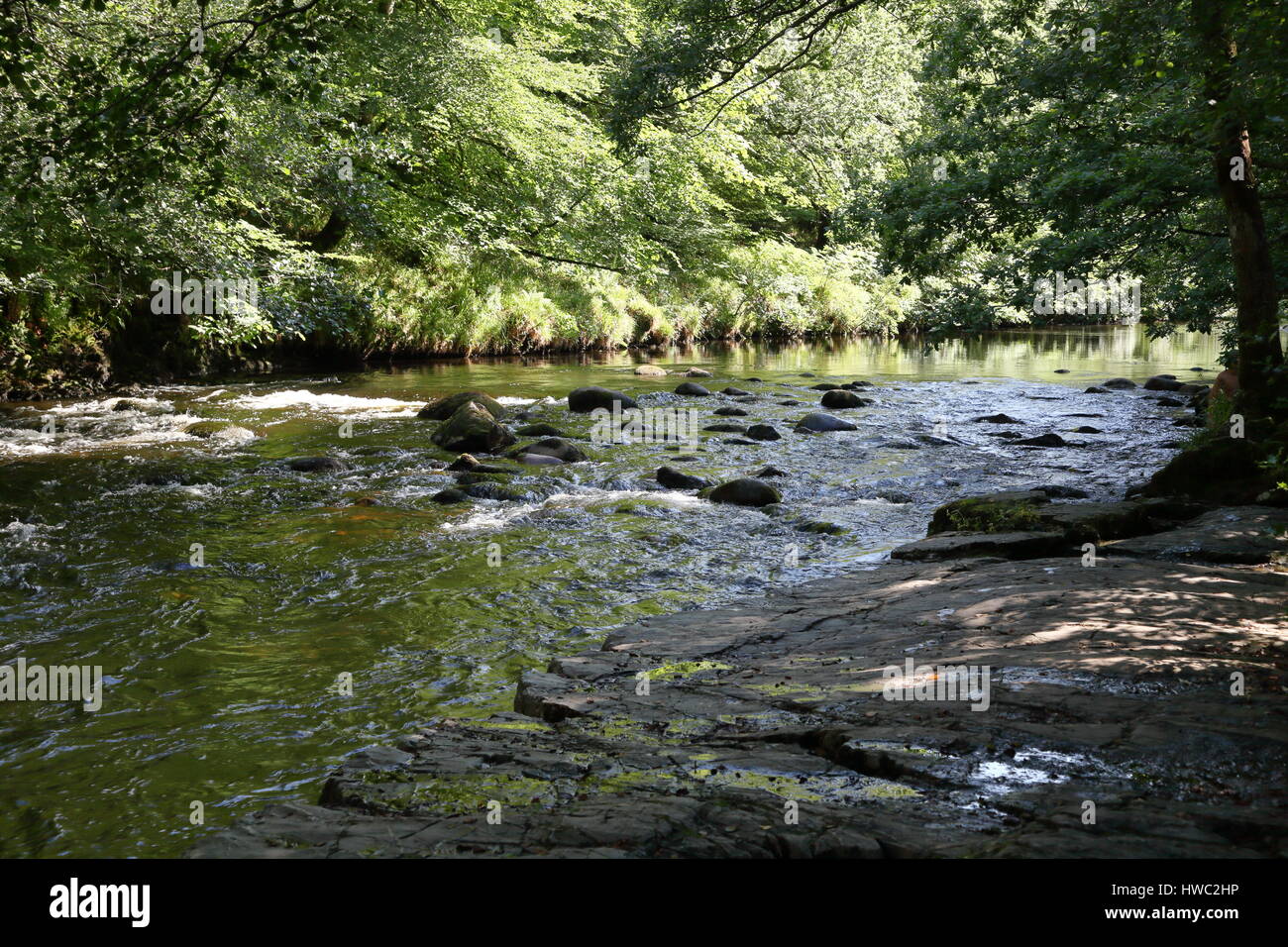 Reflections and water flowing over rocks in River Dart at New Bridge ...