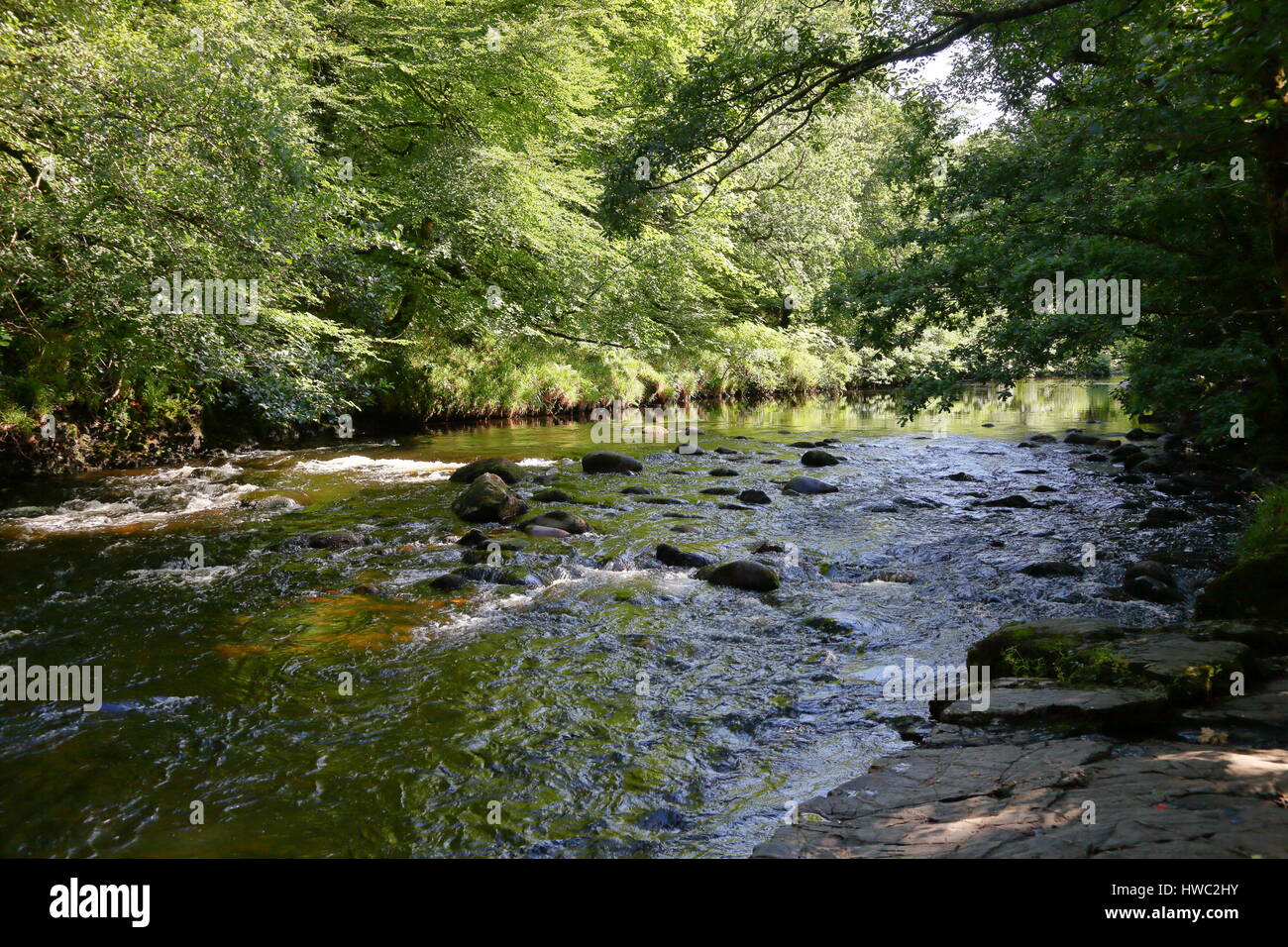 Reflections and water flowing over rocks in River Dart at New Bridge ...