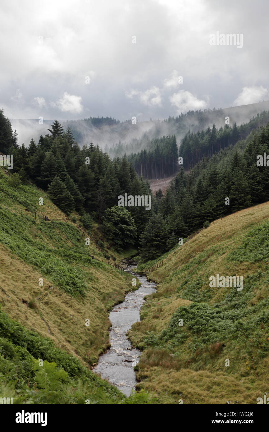 Storm clouds clearing from River Ashop flowing down the Woodlands ...