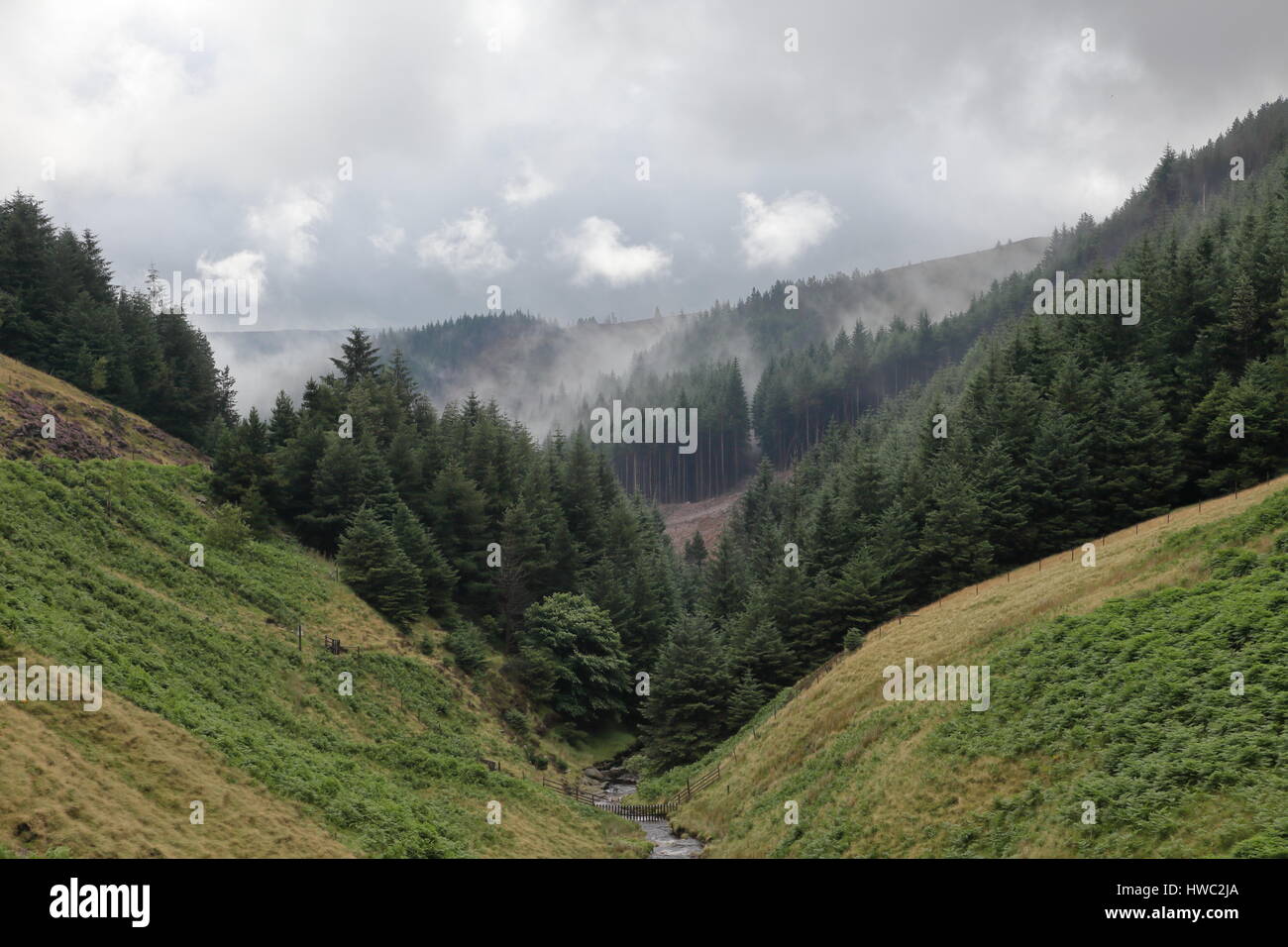 Snake pass road hi-res stock photography and images - Alamy