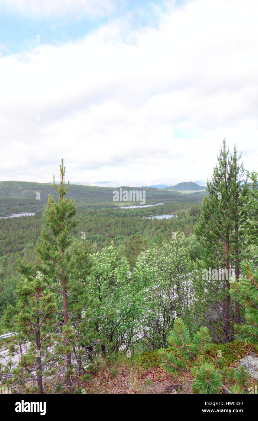 Landscape with forest and road, top view Stock Photo - Alamy