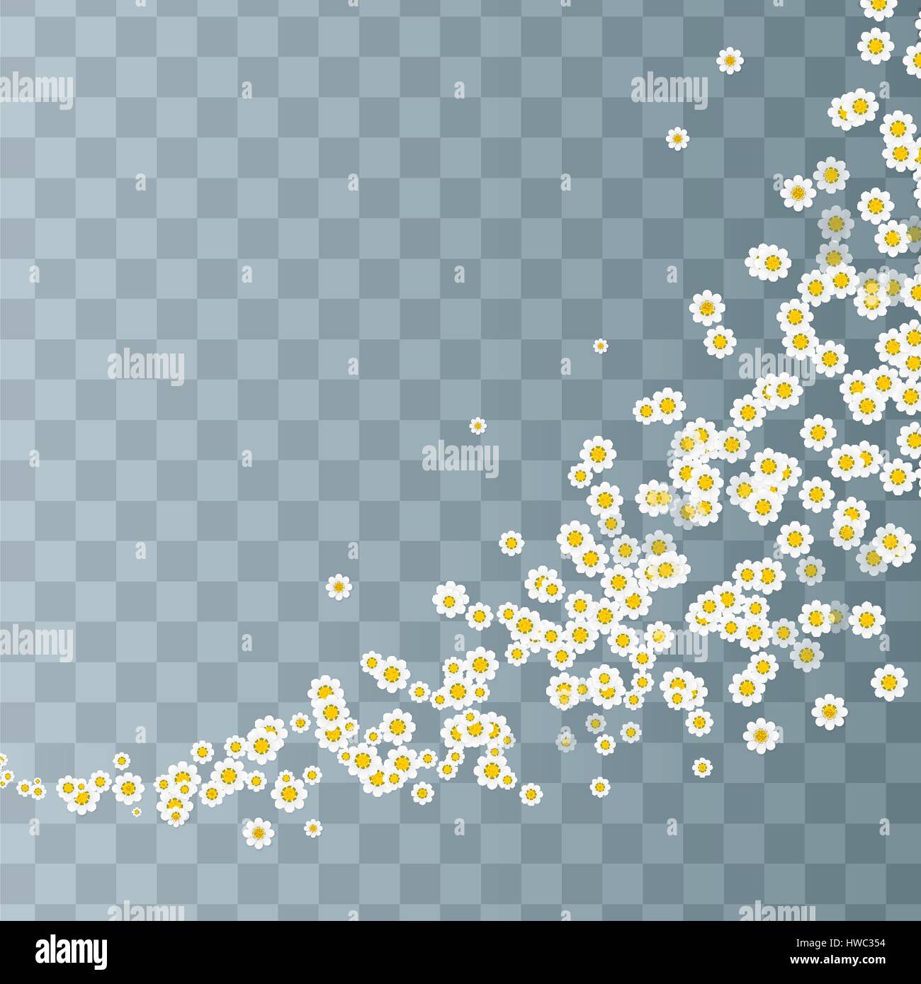 Daisy white flower bloom Stock Vector Images - Alamy