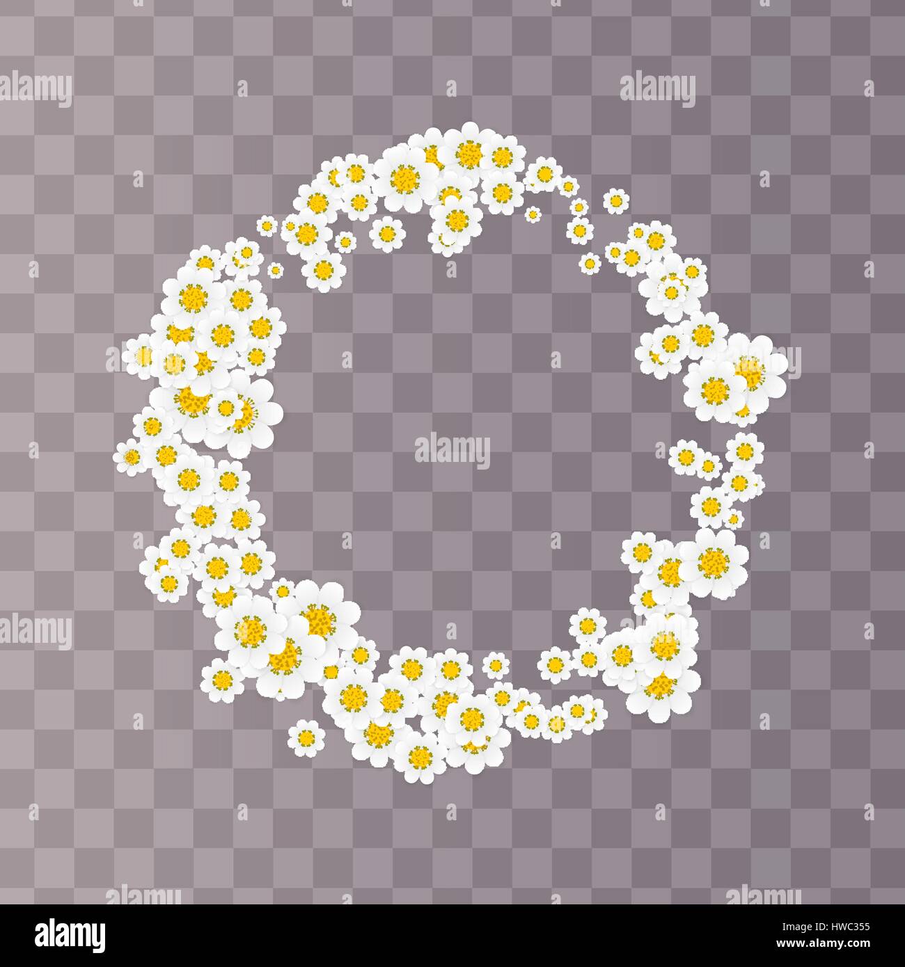 Delicate daisy bloom Stock Vector Images - Alamy