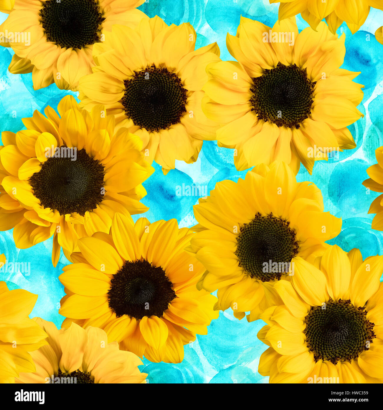 Retro seamless pattern with photo sunflowers on watercolor teal Stock ...