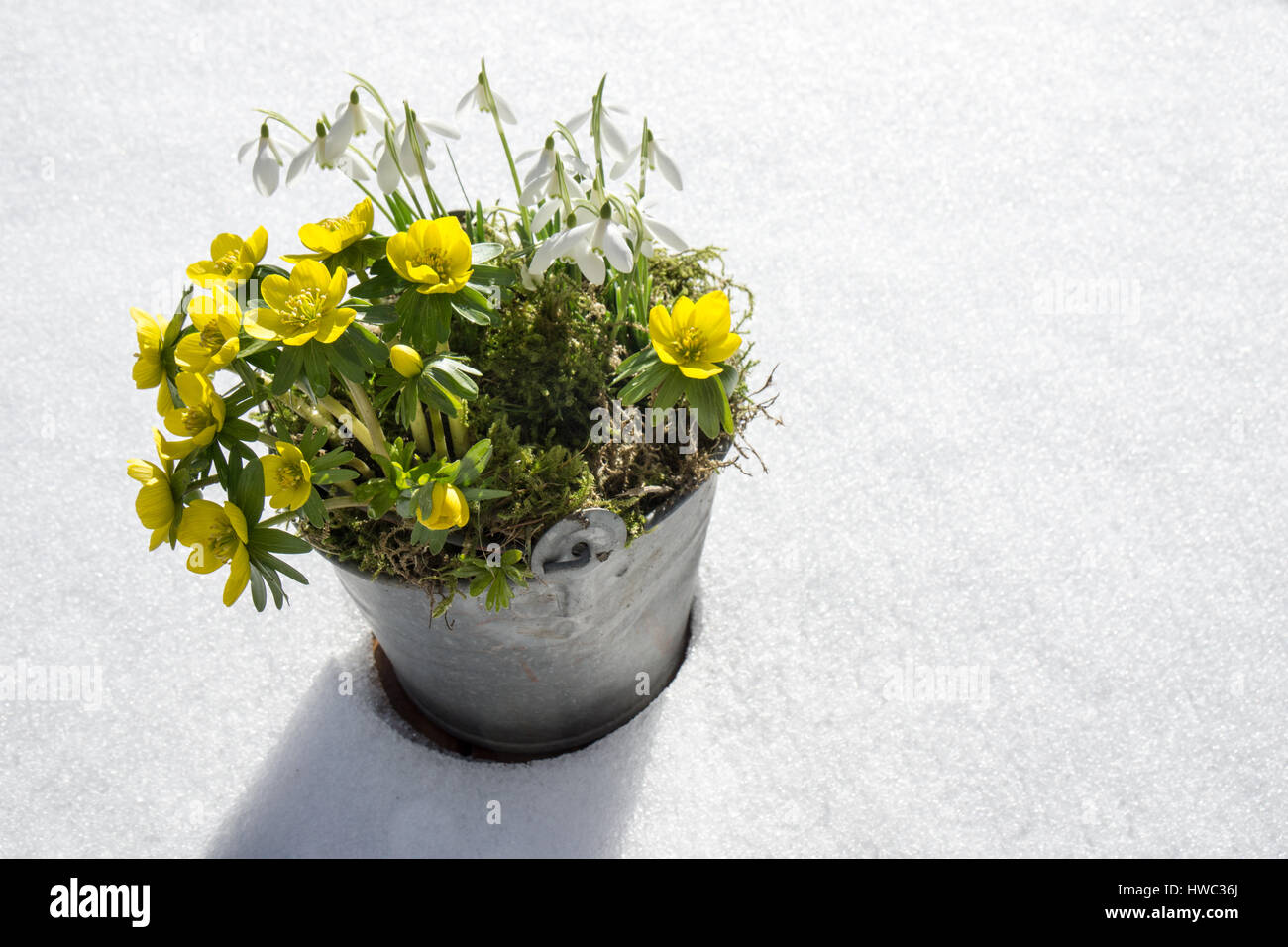Garden pot stands winter hi-res stock photography and images - Alamy