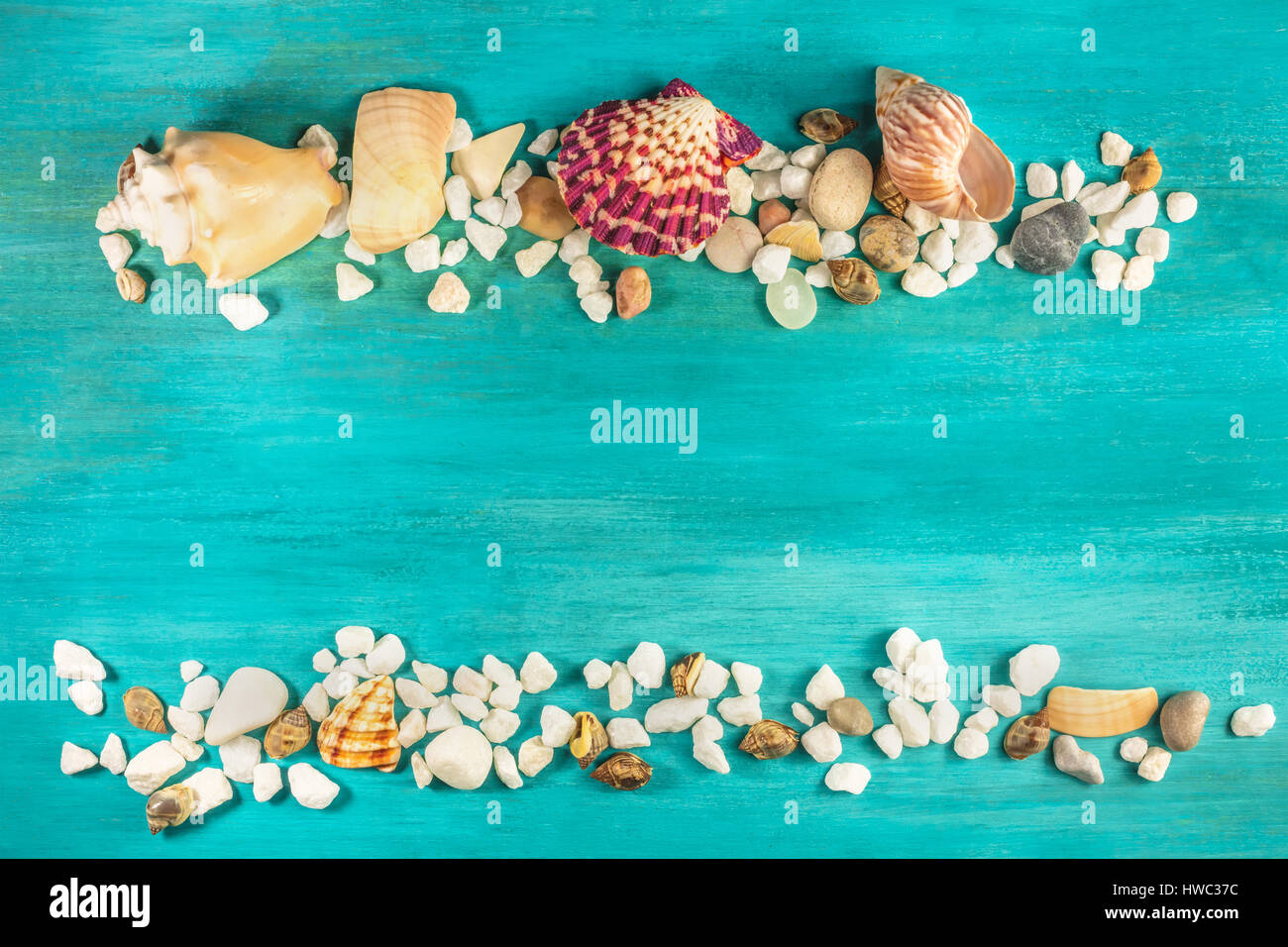 Shells and pebbles on turquoise background with copyspace Stock Photo ...