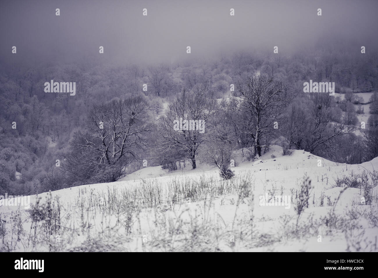 Winter mountain view Stock Photo - Alamy