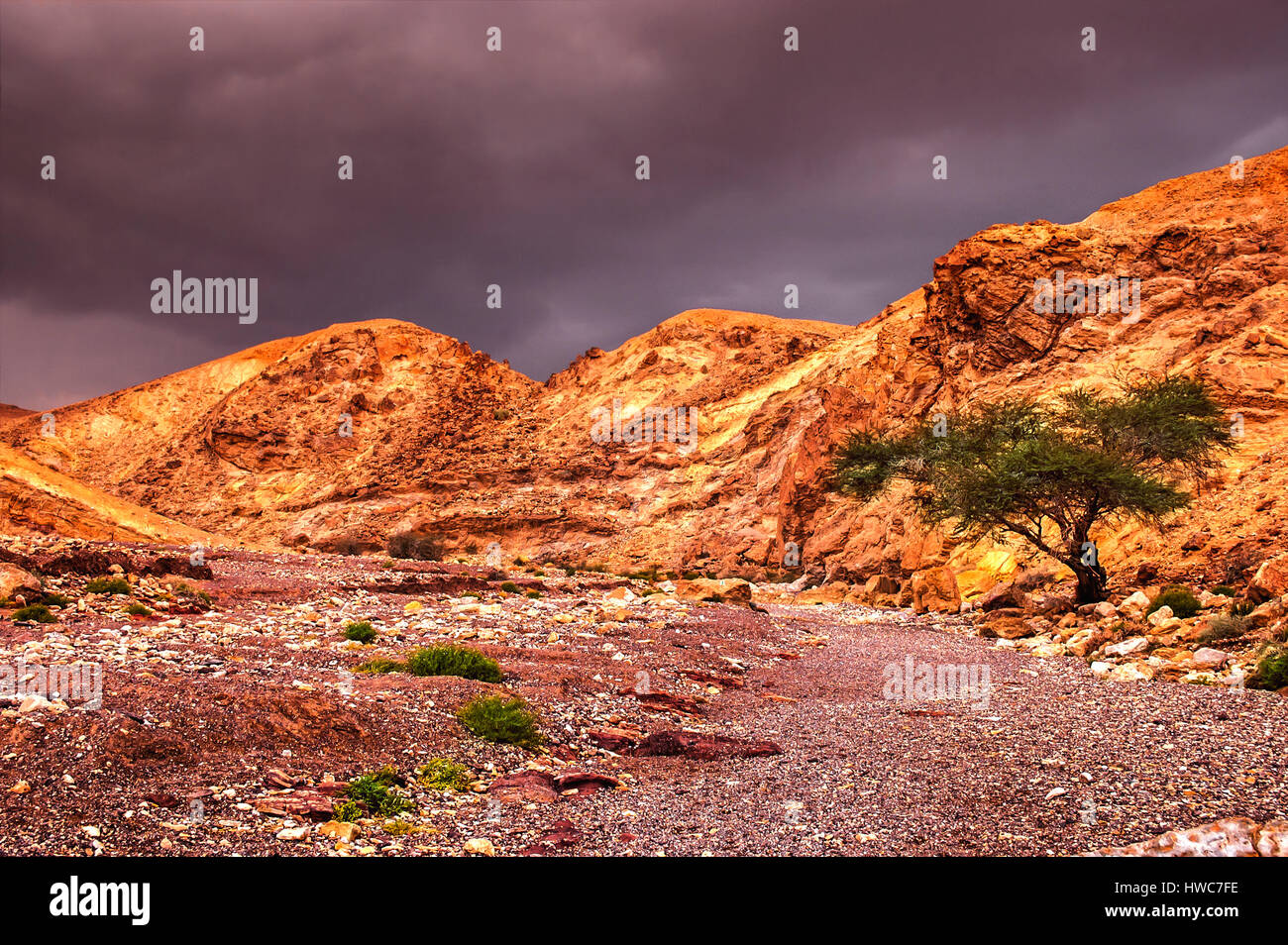 The red sand rocks in Timna park, Negev Desert, Israel Stock Photo - Alamy