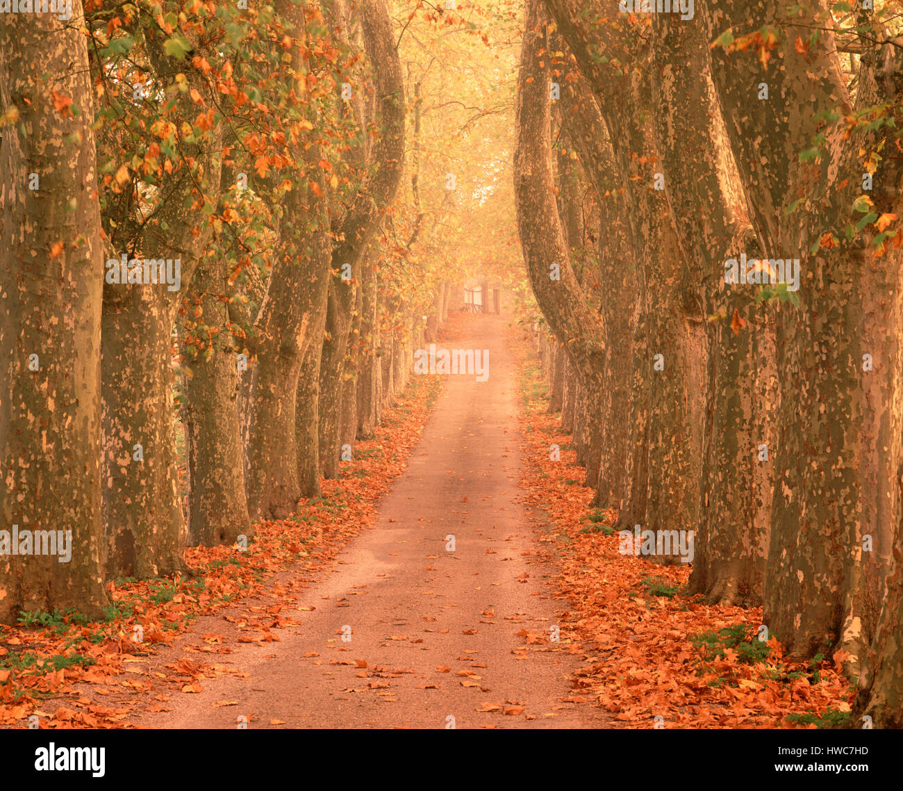 Dordogne roads hi-res stock photography and images - Alamy