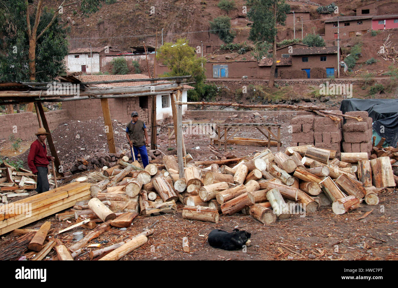 Workers chopping wood in rural Peru outside Cuzco, Peru on November 8 ...