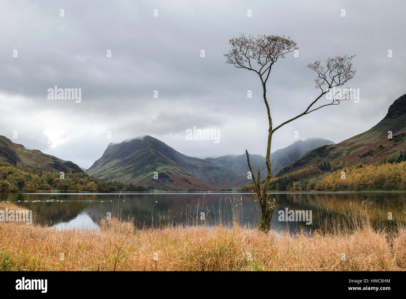 Beautiful Autumn Fall landscape image of Lake Buttermere in Lake ...