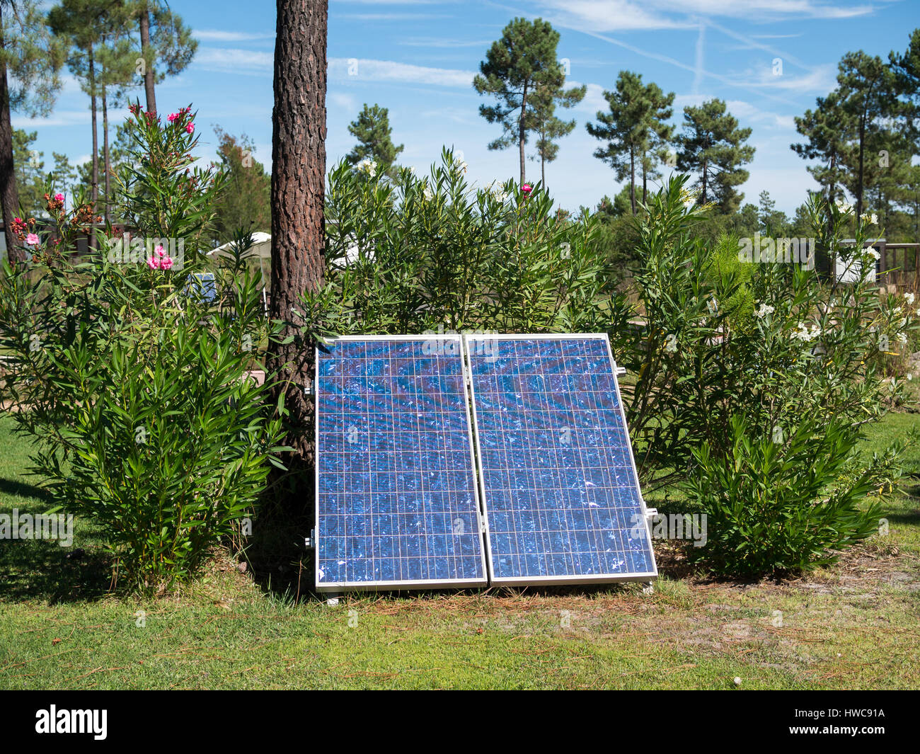 Solar panels installed in front of green vegetation Stock Photo - Alamy