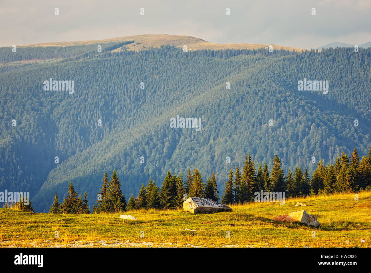 Landscape of Parnag mountains in Romania, Europe Stock Photo - Alamy