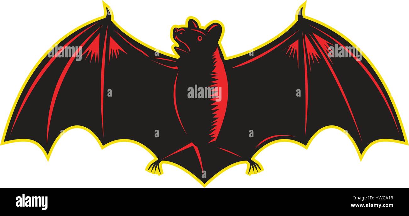 Illustration of bat looking up to the side with wings spread out viewed ...