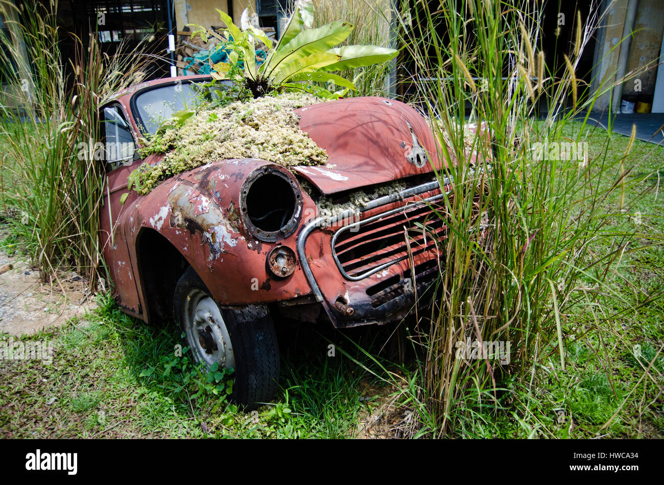 Front old abandoned car hi-res stock photography and images - Alamy