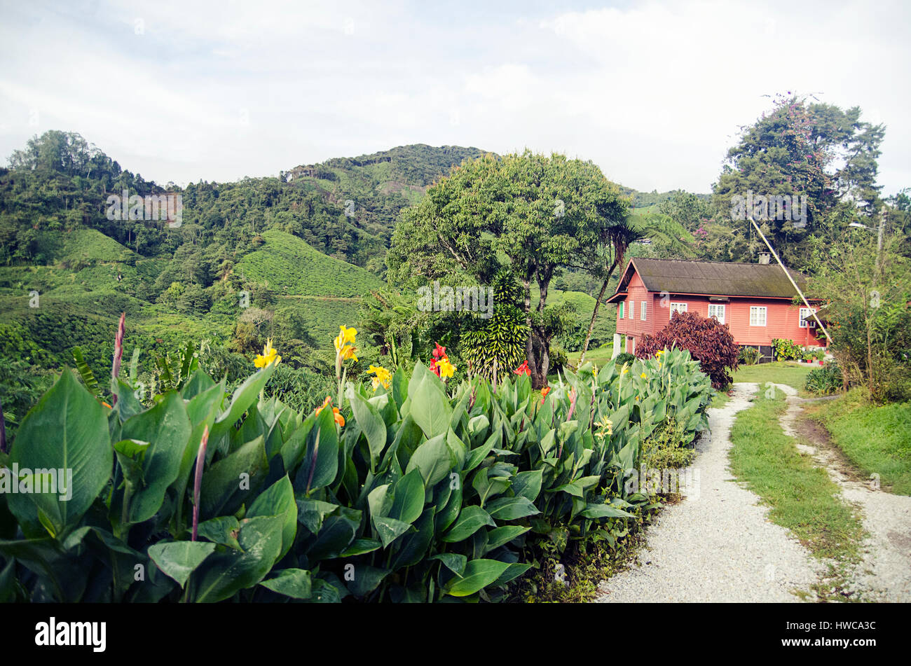 Rural green landscape, simple cottage Stock Photo - Alamy