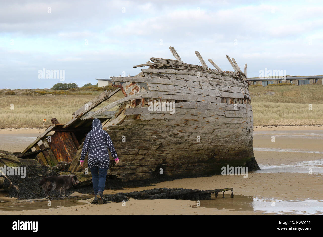 The wreck of a wooden fishing boat at Bunbeg, County Donegal, Ireland ...