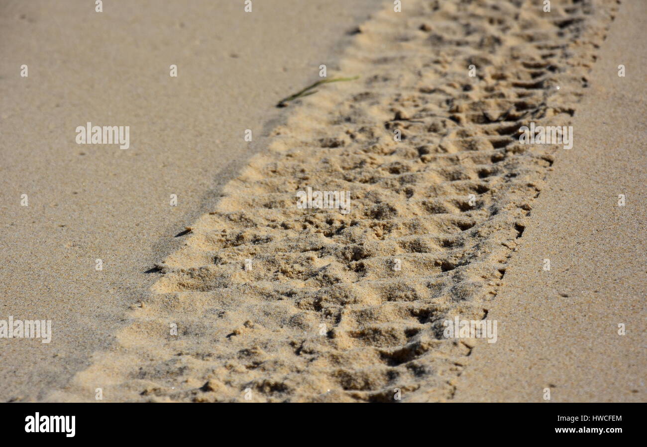 Wheel track in the sand texture. Coast beach sand surface car wheel ...