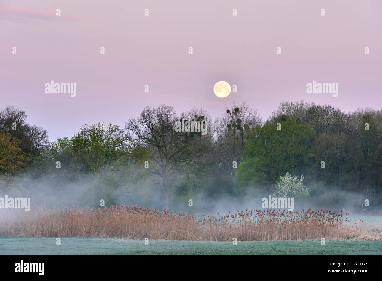 Full moon mist hi-res stock photography and images - Alamy