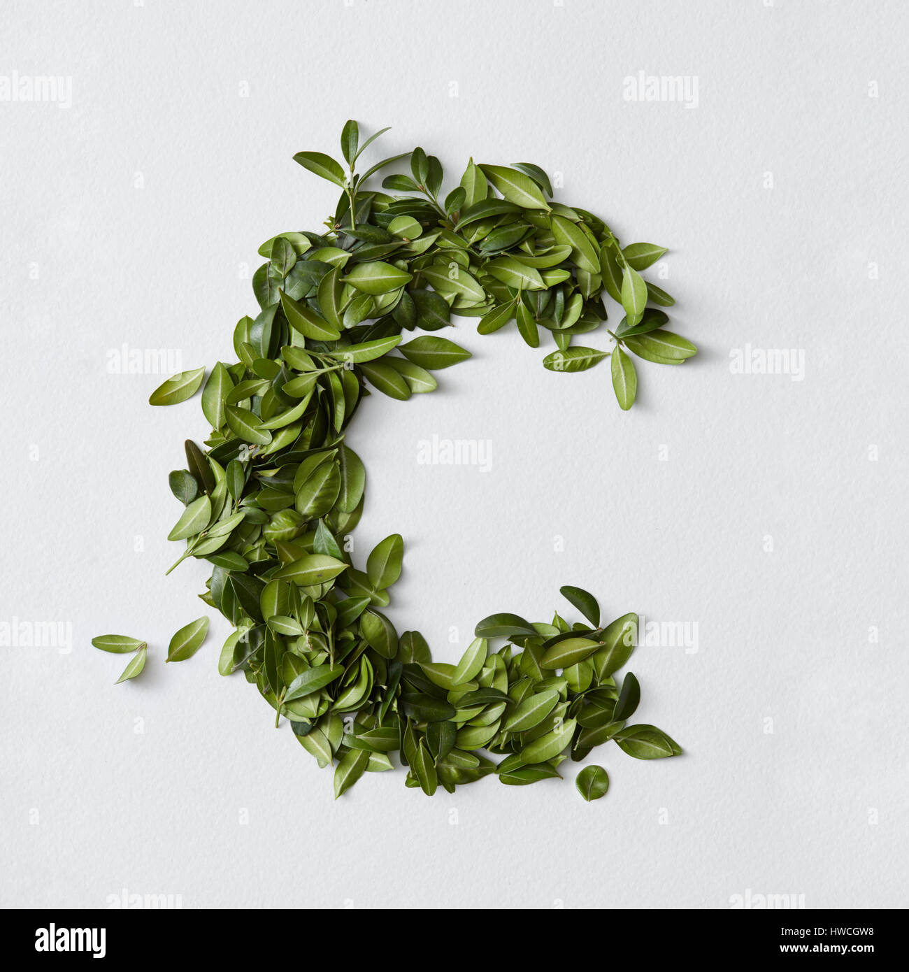 Alphabet letters from leaves Stock Photo - Alamy